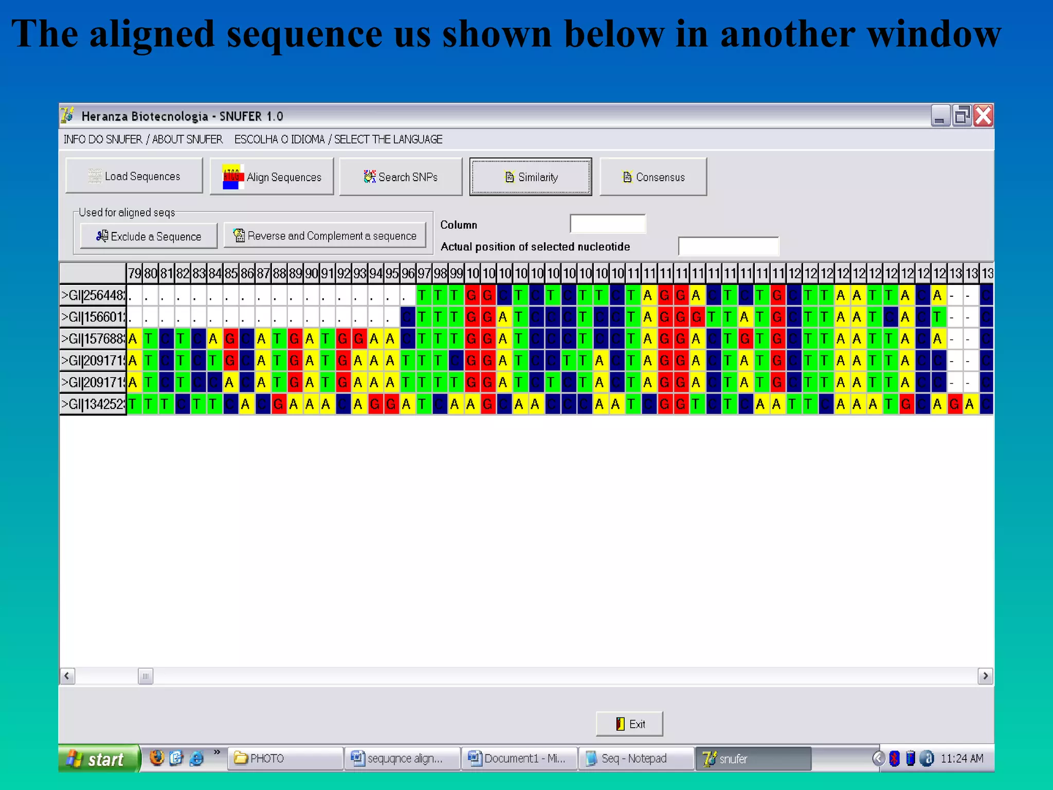 Sequece alignment using ms word | PPT