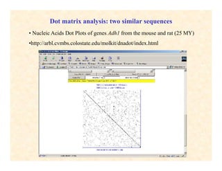 Sequence-analysis-pairwise-alignment.pdf