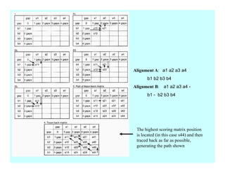 Sequence-analysis-pairwise-alignment.pdf