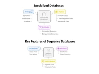 Sequence-structure DB bip informatics.pptx