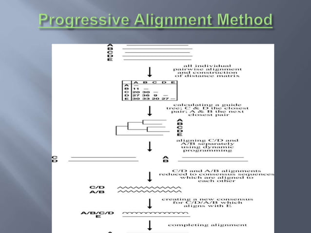 Sequence alig Sequence Alignment Pairwise alignment:- | PPTX | Genetics | Science