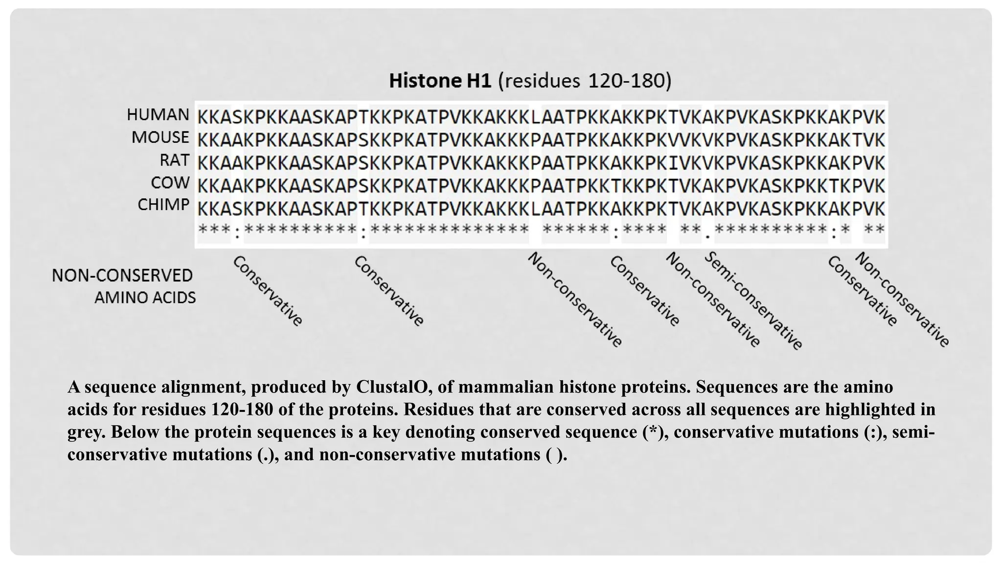 sequence alignment types and importance.. | PPTX