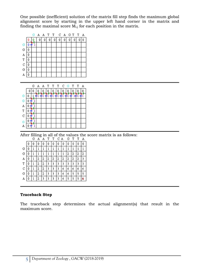 Sequence alignment | PDF | Programming Languages | Computing