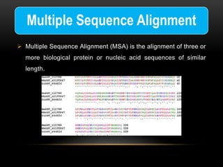 Sequence alignment.pptx