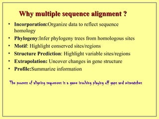Sequence alignment belgaum | PPT
