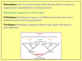 Sequence alignment belgaum | PPT