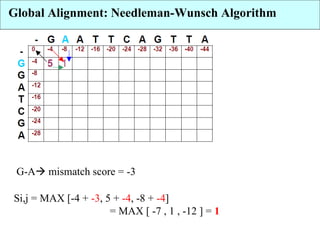 Sequence alignments complete coverage | PPT