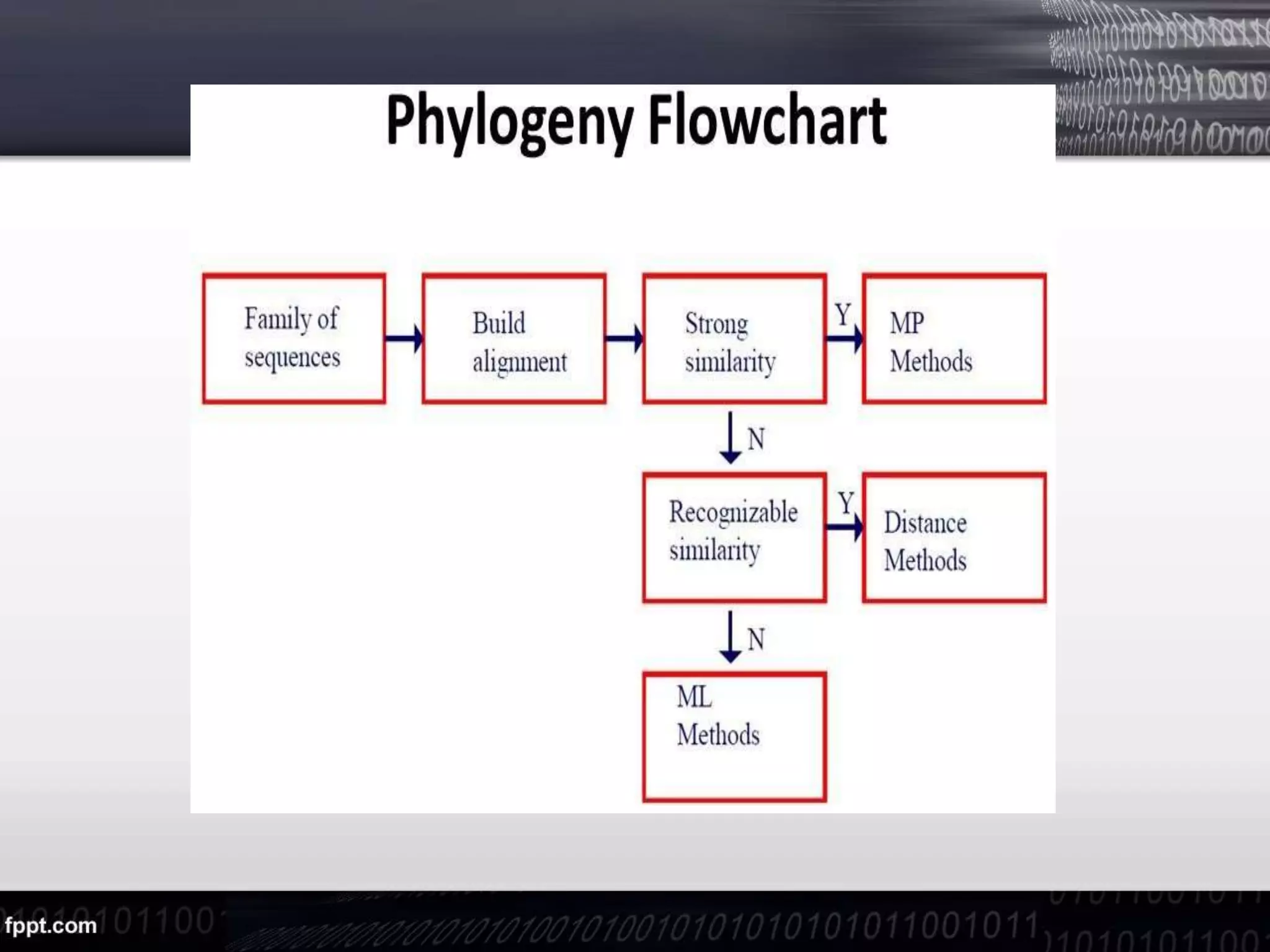Sequence analysis | PPT