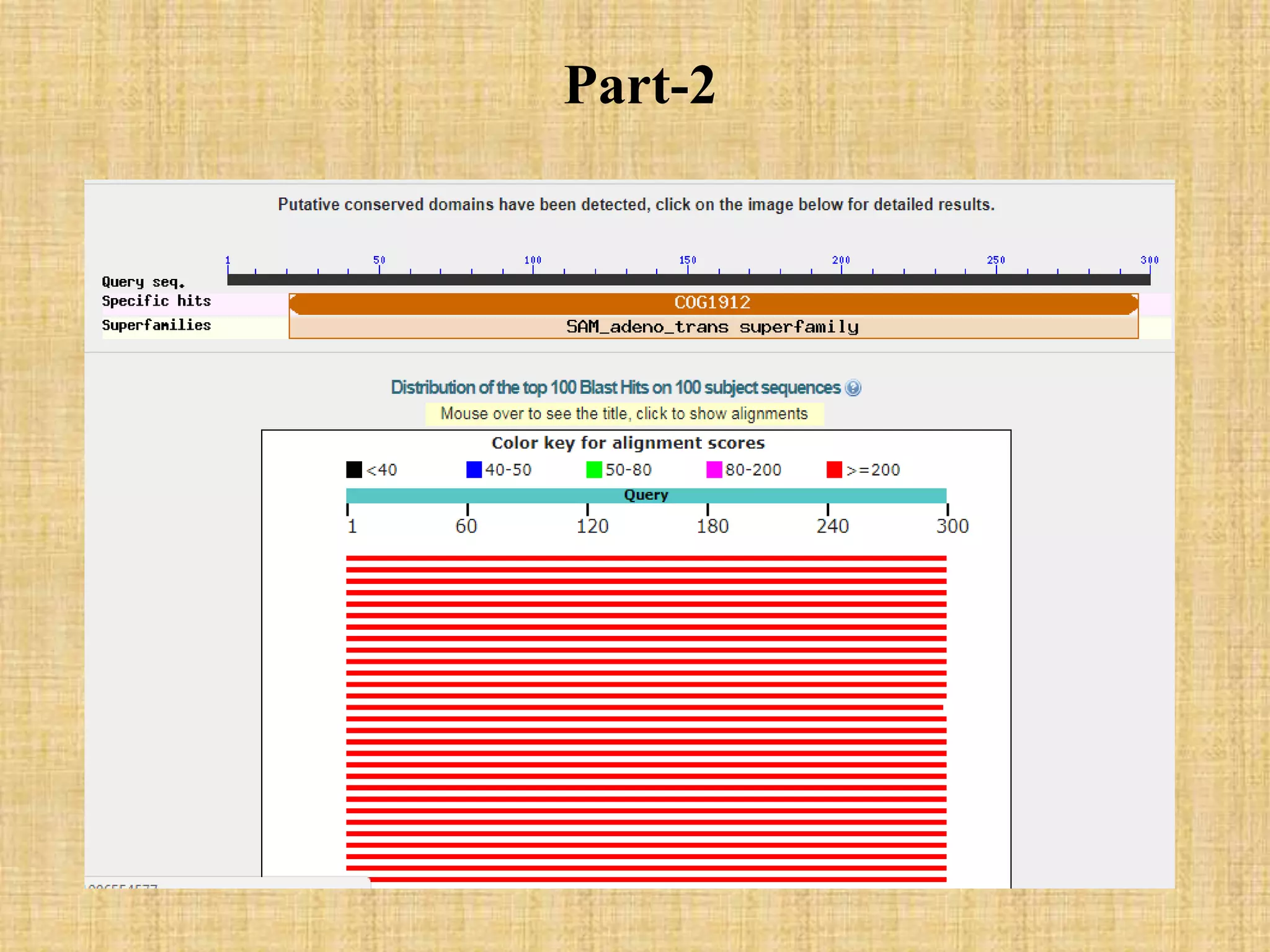 Sequence Analysis.ppt