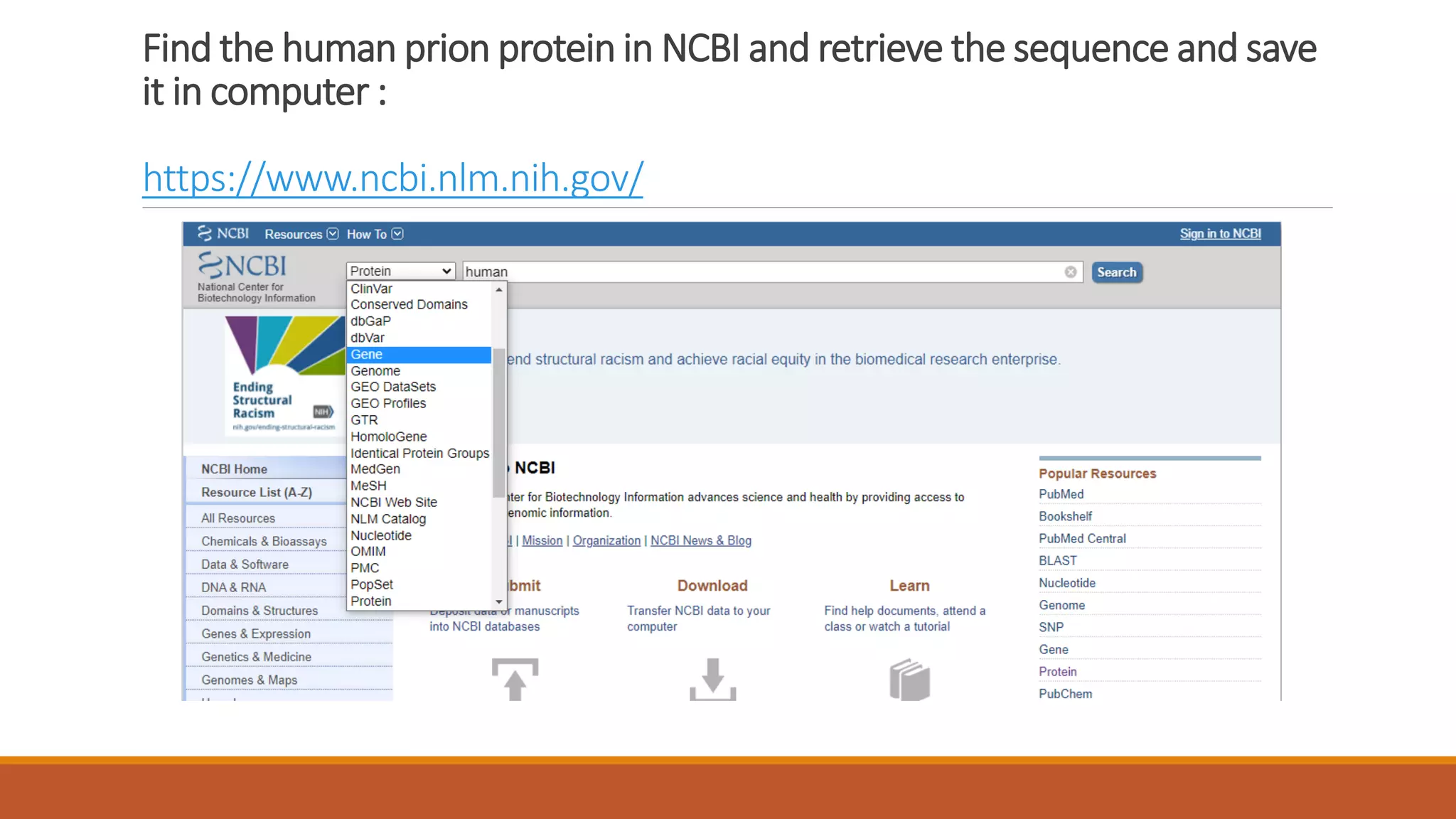 Sequence analysis - Bioinformatics | PDF