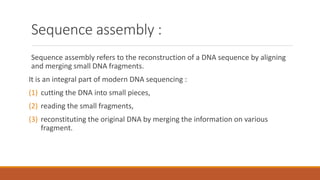 Sequence analysis - Bioinformatics | PDF