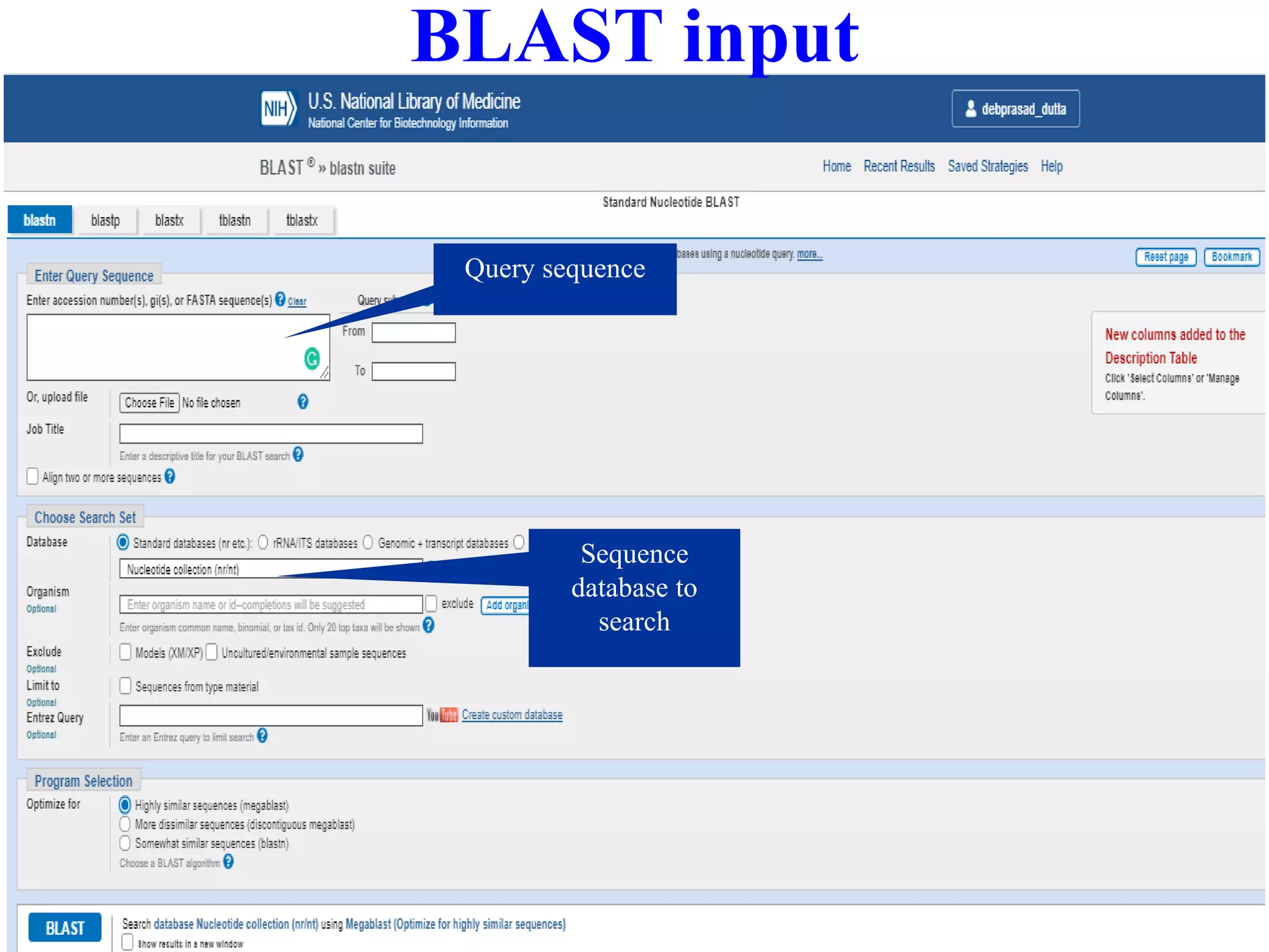 Sequence Analysis Ppt