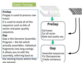 Sequence assembly | PPTX