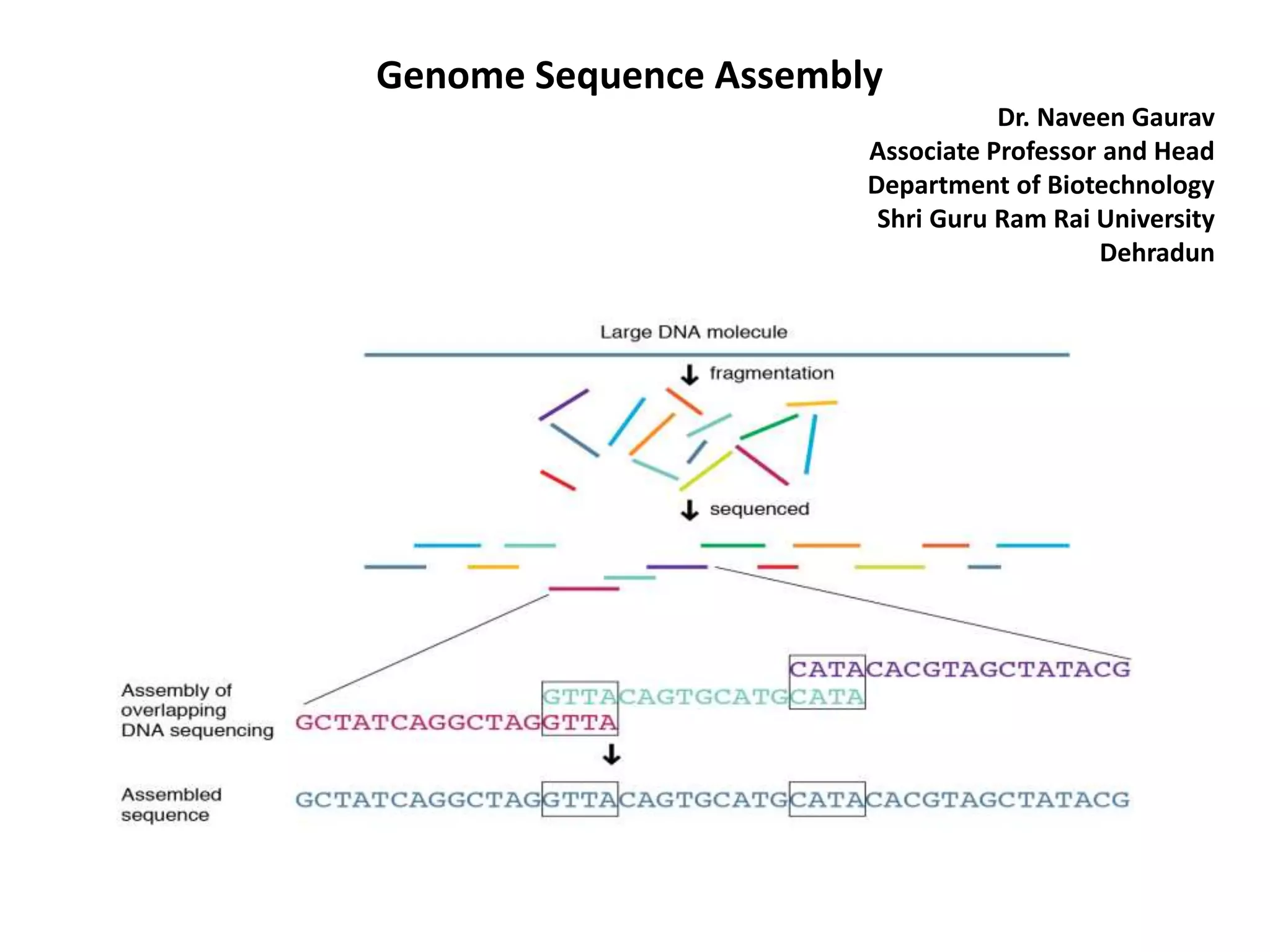 Sequence assembly | PPTX