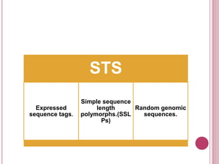 Sequenced taged sites (sts) | PPTX