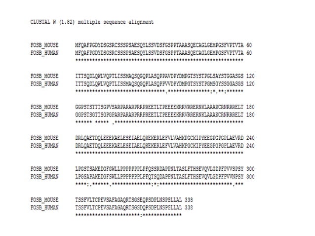 Sequence file formats | PPT | Databases | Computer Software and Applications