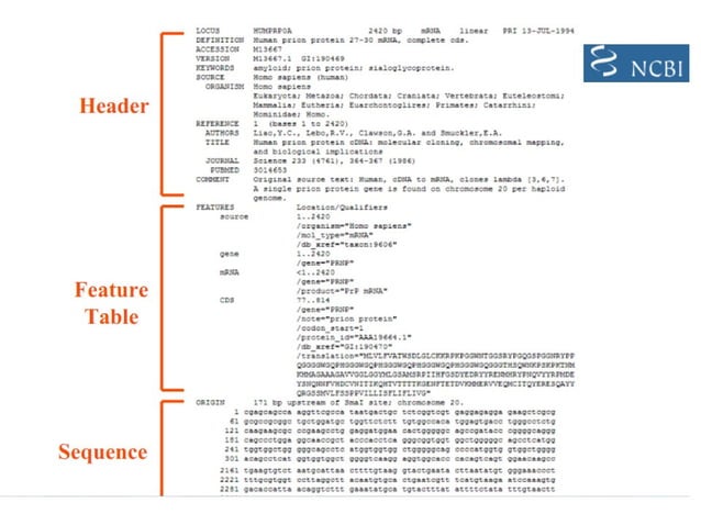 Sequence file formats | PPT | Databases | Computer Software and Applications