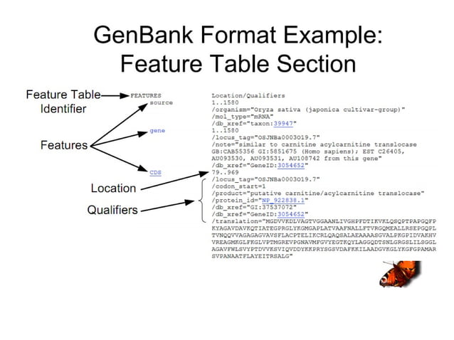 Sequence file formats | PPT | Databases | Computer Software and Applications