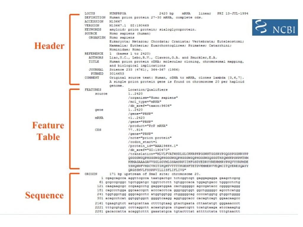 Sequence File Formats