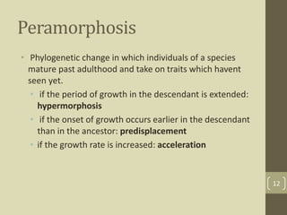 Heterochrony: Evolution vs Development | PPTX