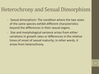 Heterochrony: Evolution vs Development | PPTX