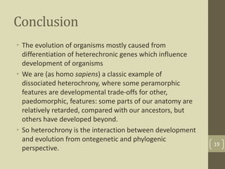 Heterochrony: Evolution vs Development | PPTX