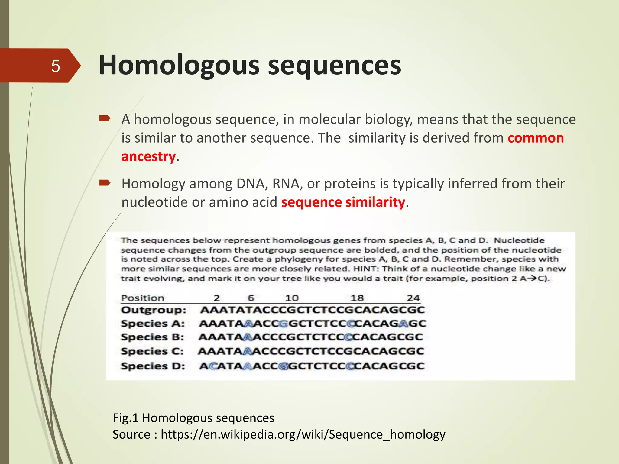 Sequence homology search and multiple sequence alignment(1) | PPTX