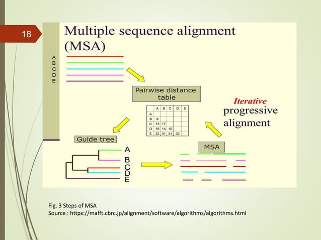Sequence homology search and multiple sequence alignment(1) | PPTX