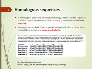 Sequence homology search and multiple sequence alignment(1) | PPTX