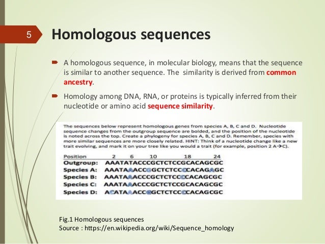 Sequence Homology Search And Multiple Sequence Alignment 1