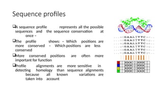 sequence motifs. bioinformatics pptx | PPTX