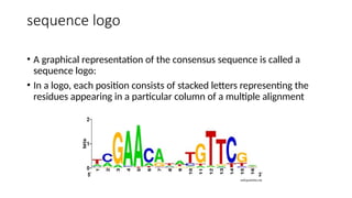sequence motifs. bioinformatics pptx | PPTX