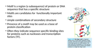 sequence motifs. bioinformatics pptx | PPTX
