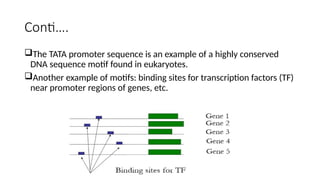 sequence motifs. bioinformatics pptx | PPTX