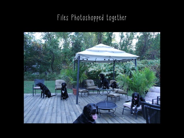 High School Multiple Exposure/Sequence Photography Lesson | PPT