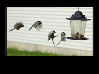 High School Multiple Exposure/Sequence Photography Lesson | PDF