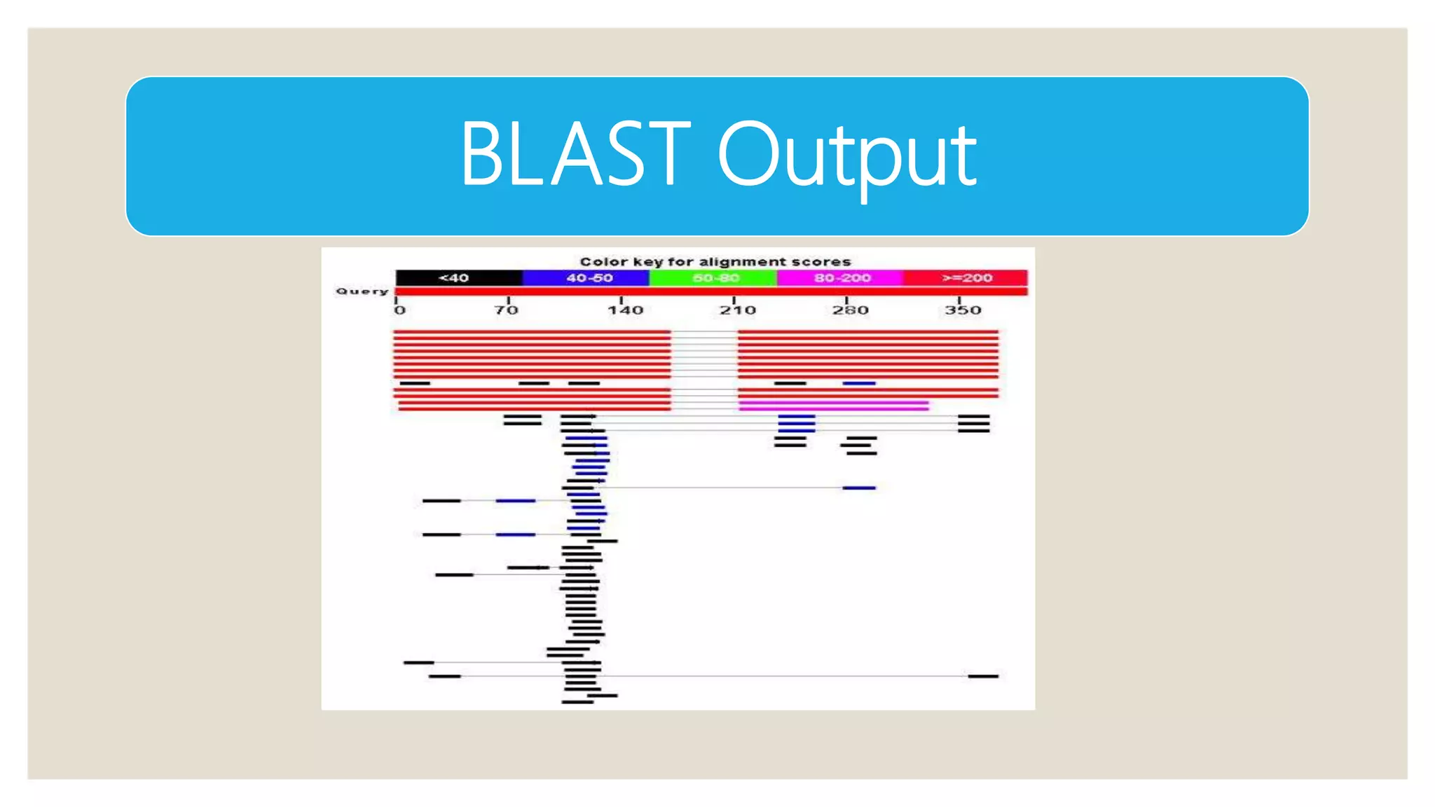 Sequence similarity tools.pptx