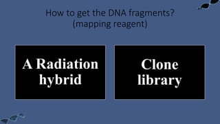 Sequence Tagged Sites pdf.pdf