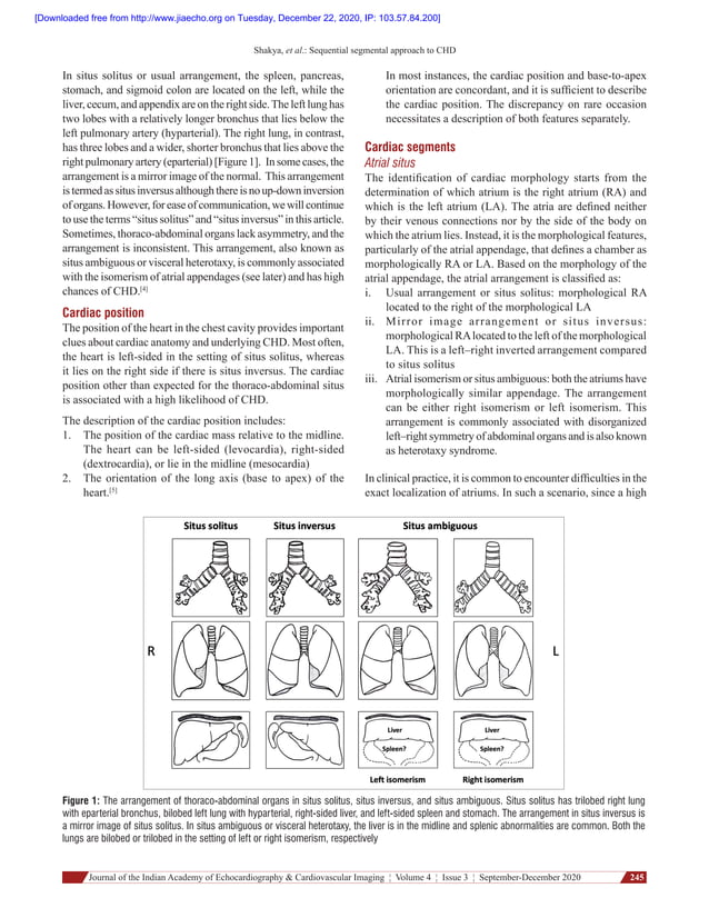 Sequencial segmental approach to chd | PDF