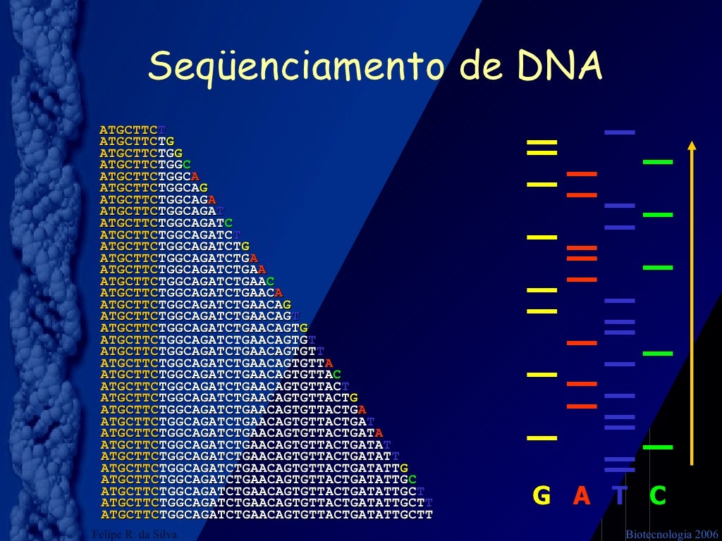 Sequenciamento de DNA