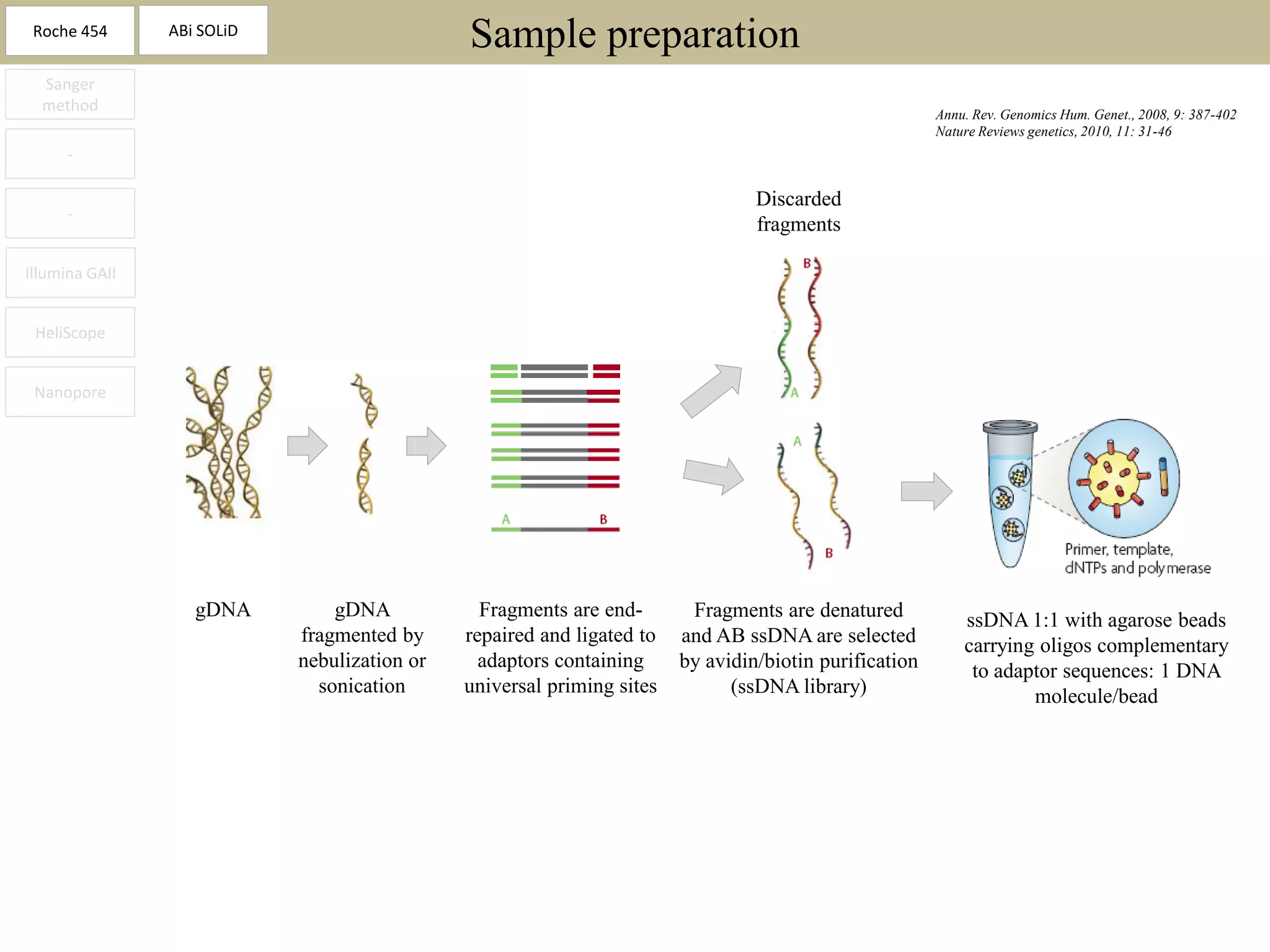 High throughput sequencing | PDF