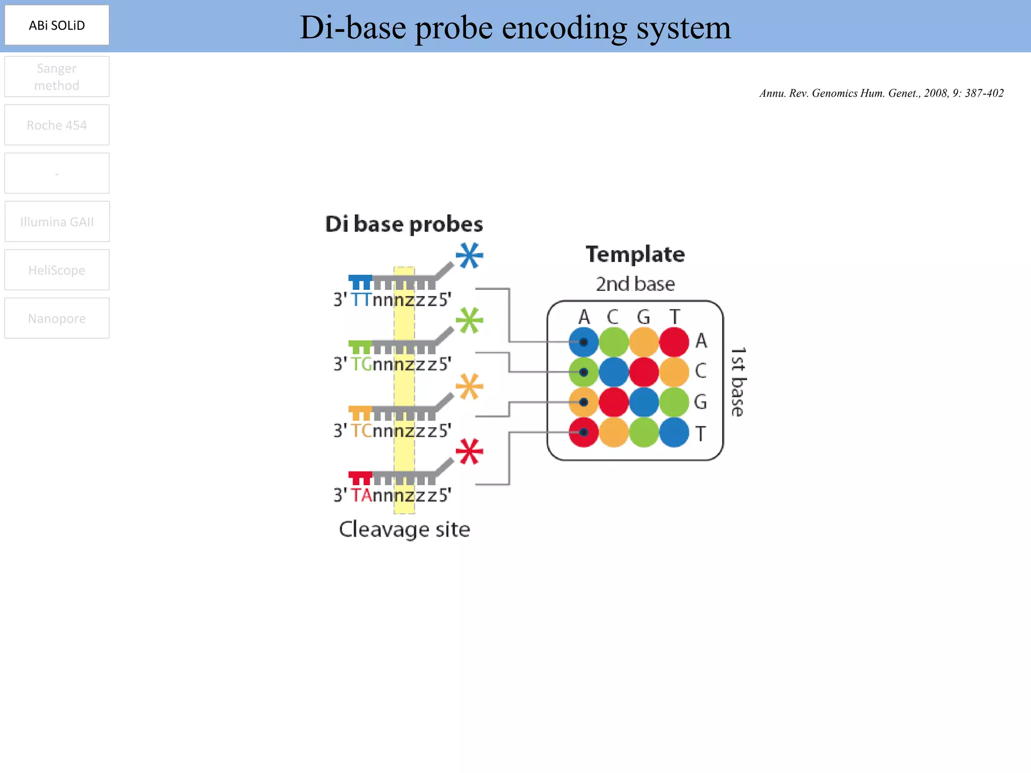 High throughput sequencing | PDF