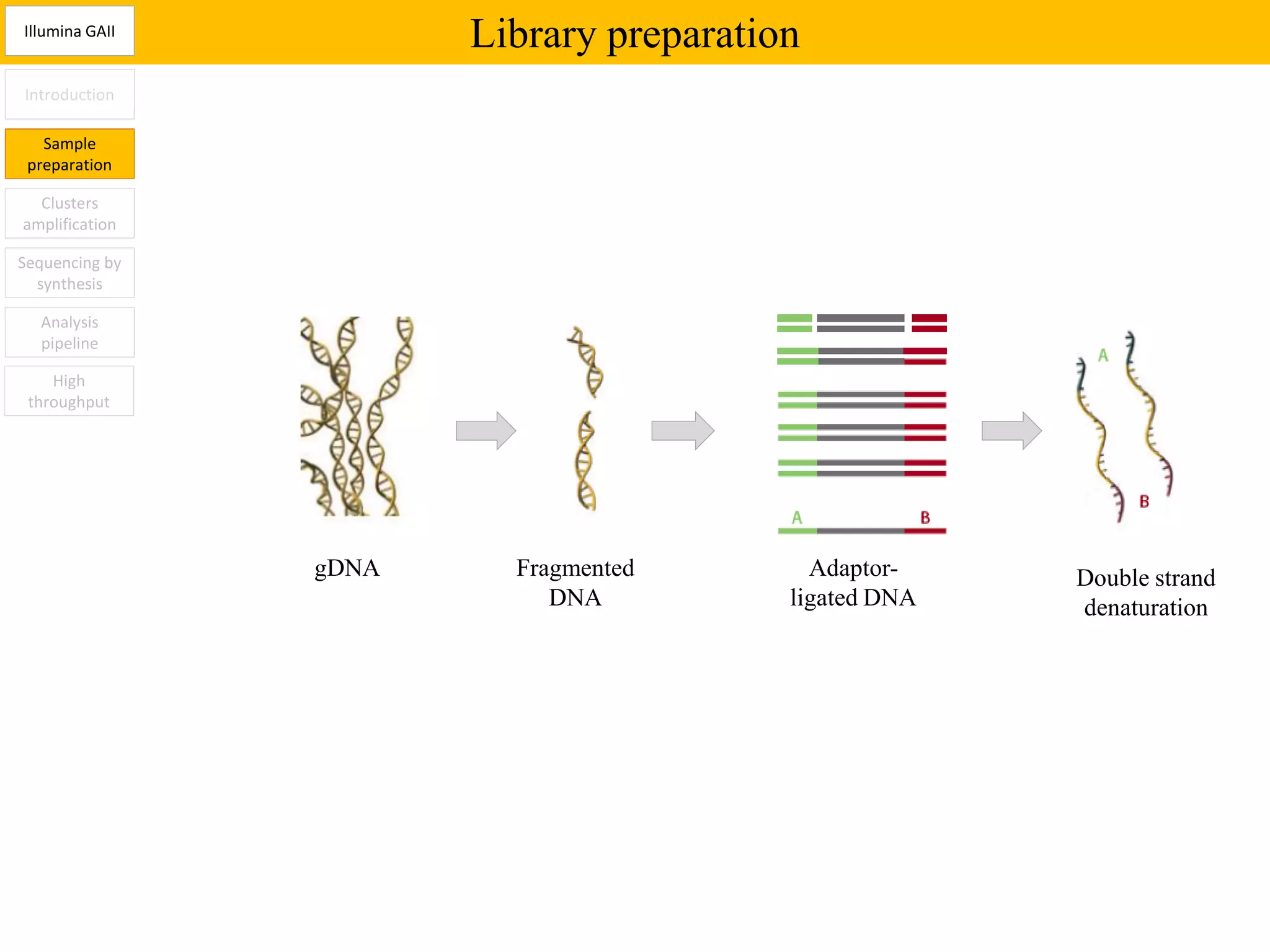 High throughput sequencing | PDF