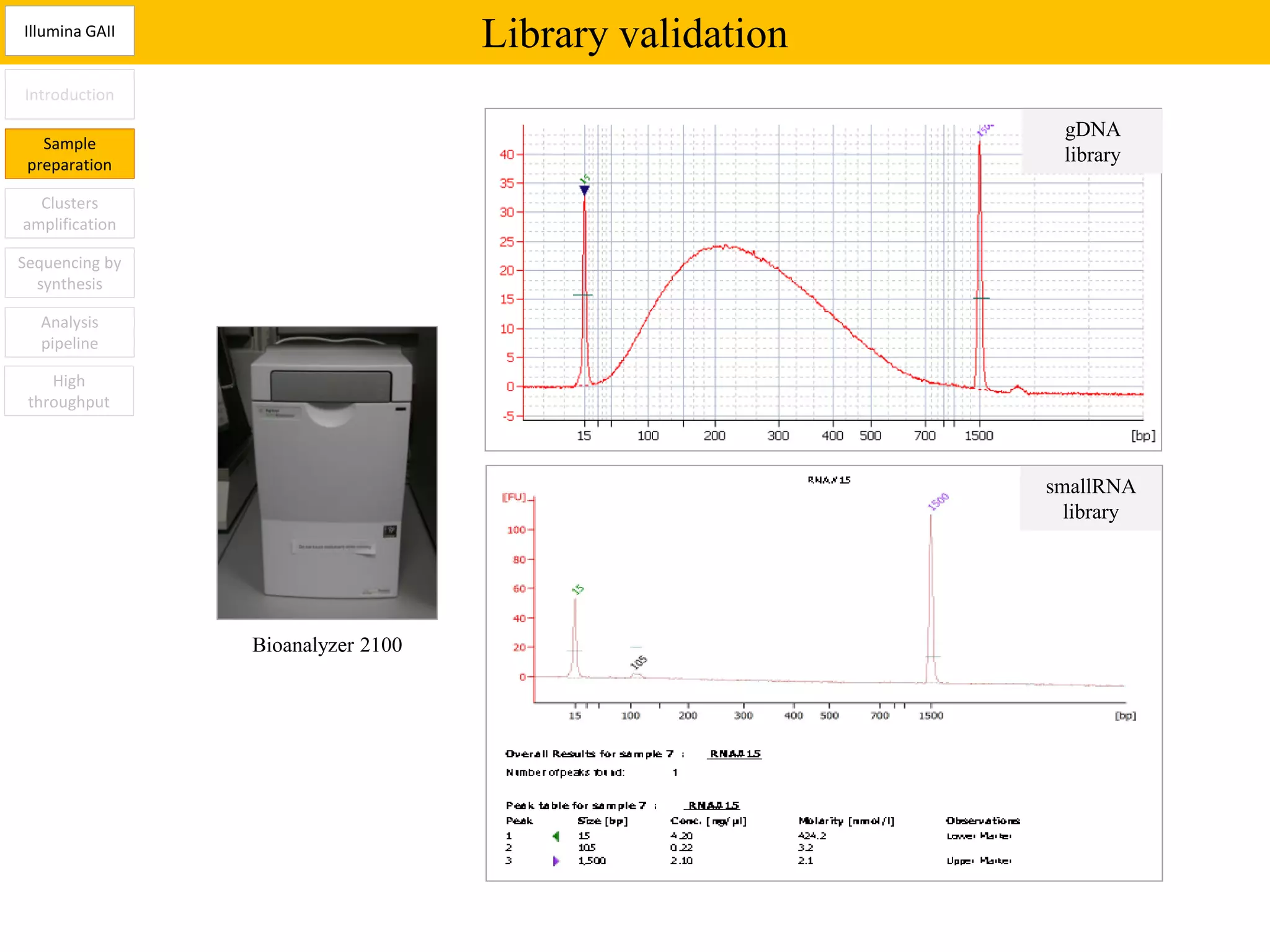 High throughput sequencing | PDF