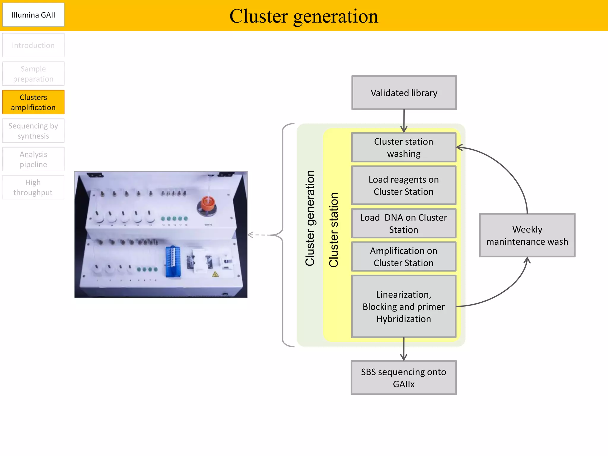 High throughput sequencing | PDF