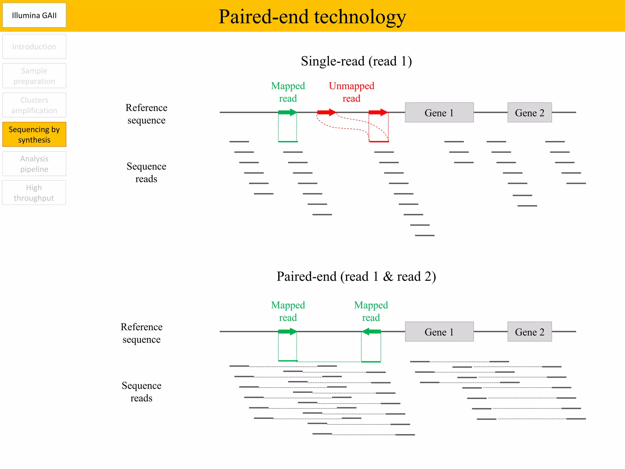 High throughput sequencing | PDF