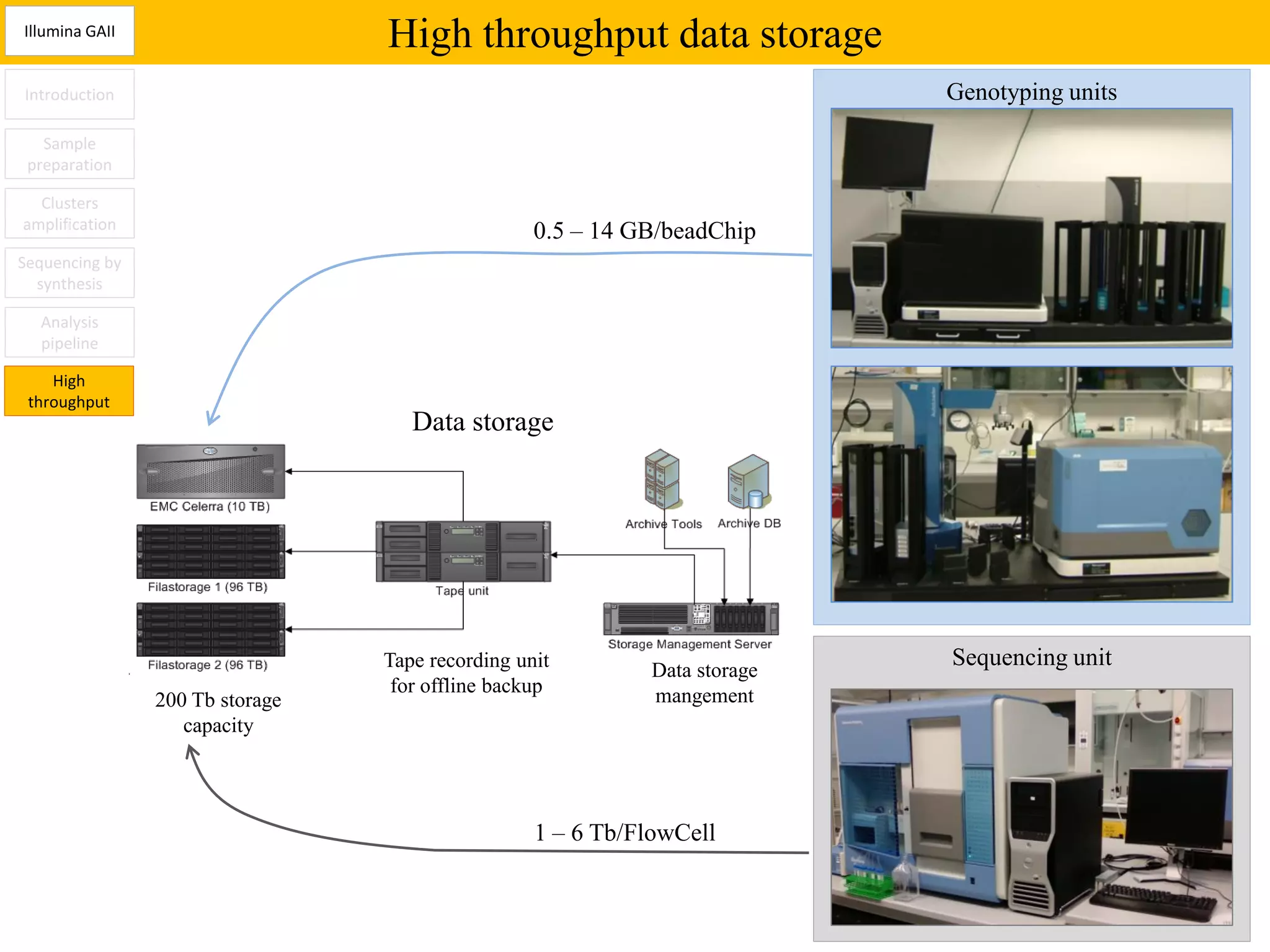 High throughput sequencing | PDF