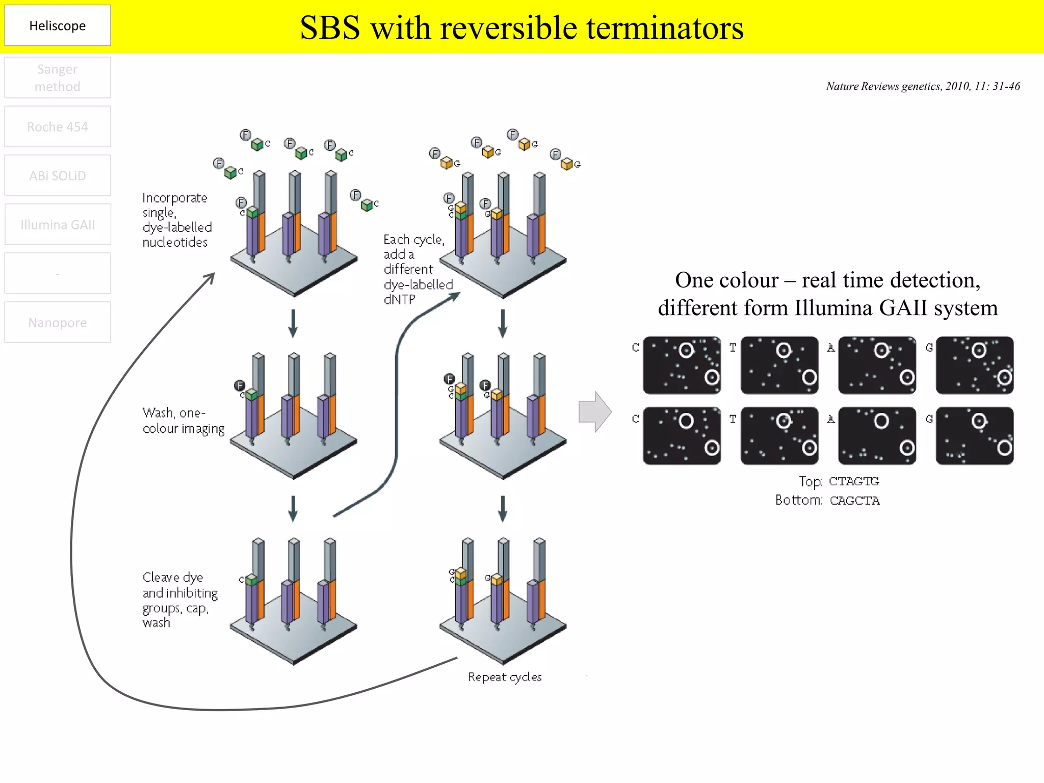 High throughput sequencing | PDF