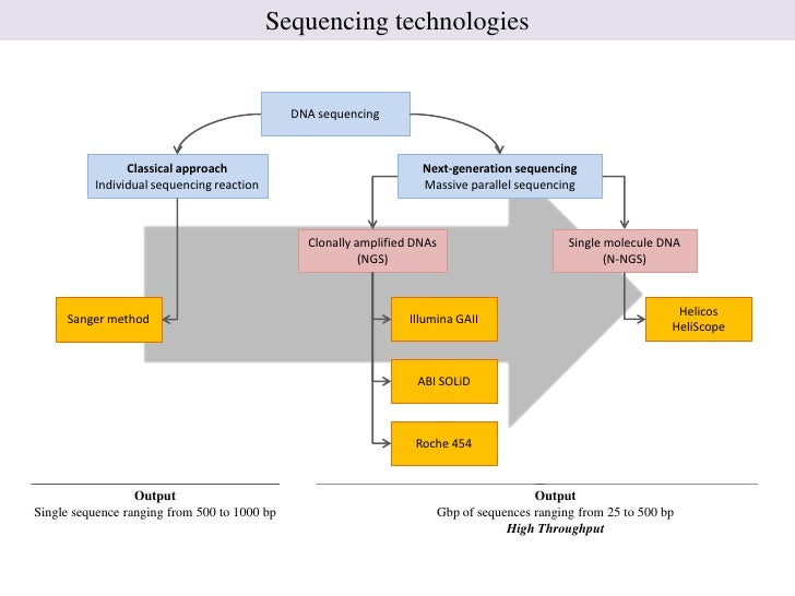 High throughput sequencing