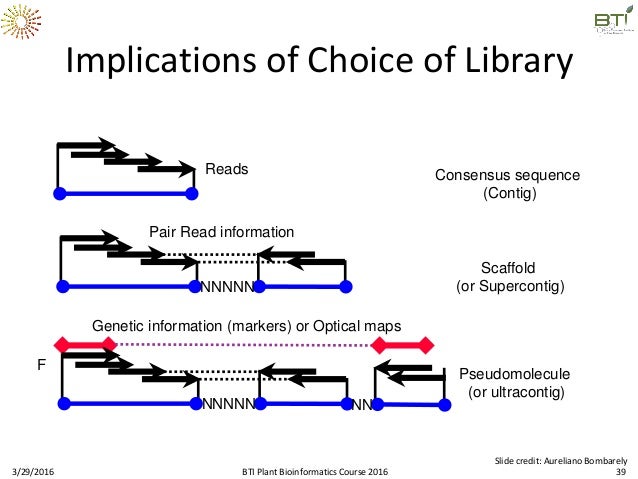 Third Generation Sequencing – An Overview-CSDN博客